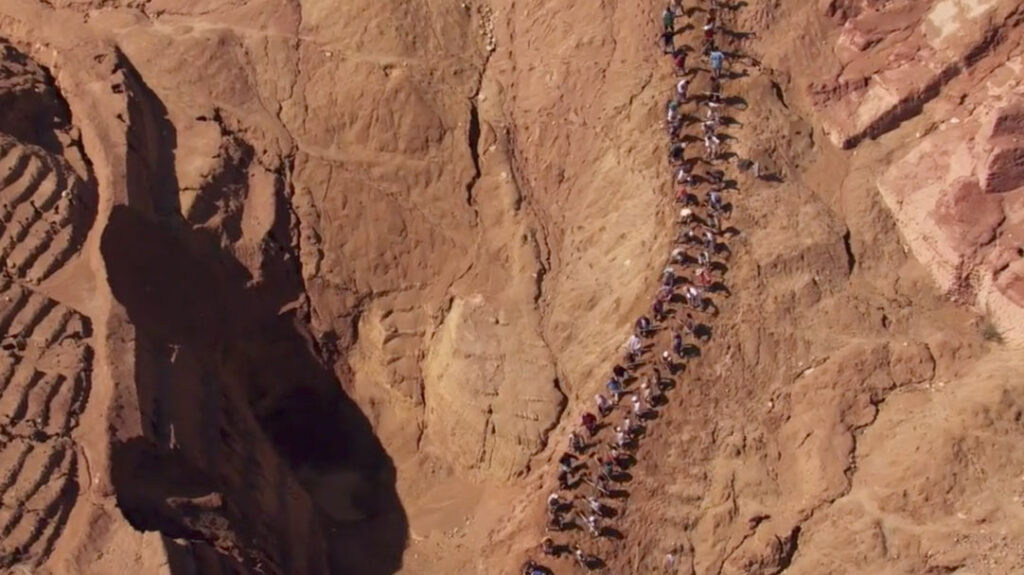 Executive Productions - abel aflam